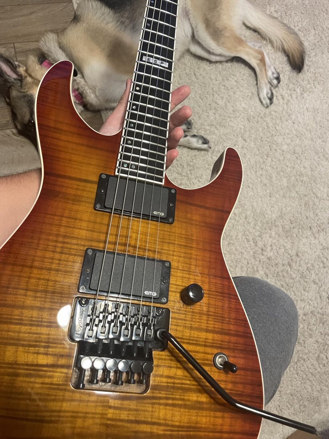 12 Best Humbucker Pickups (May 2026) Tested & Reviewed - VVN News