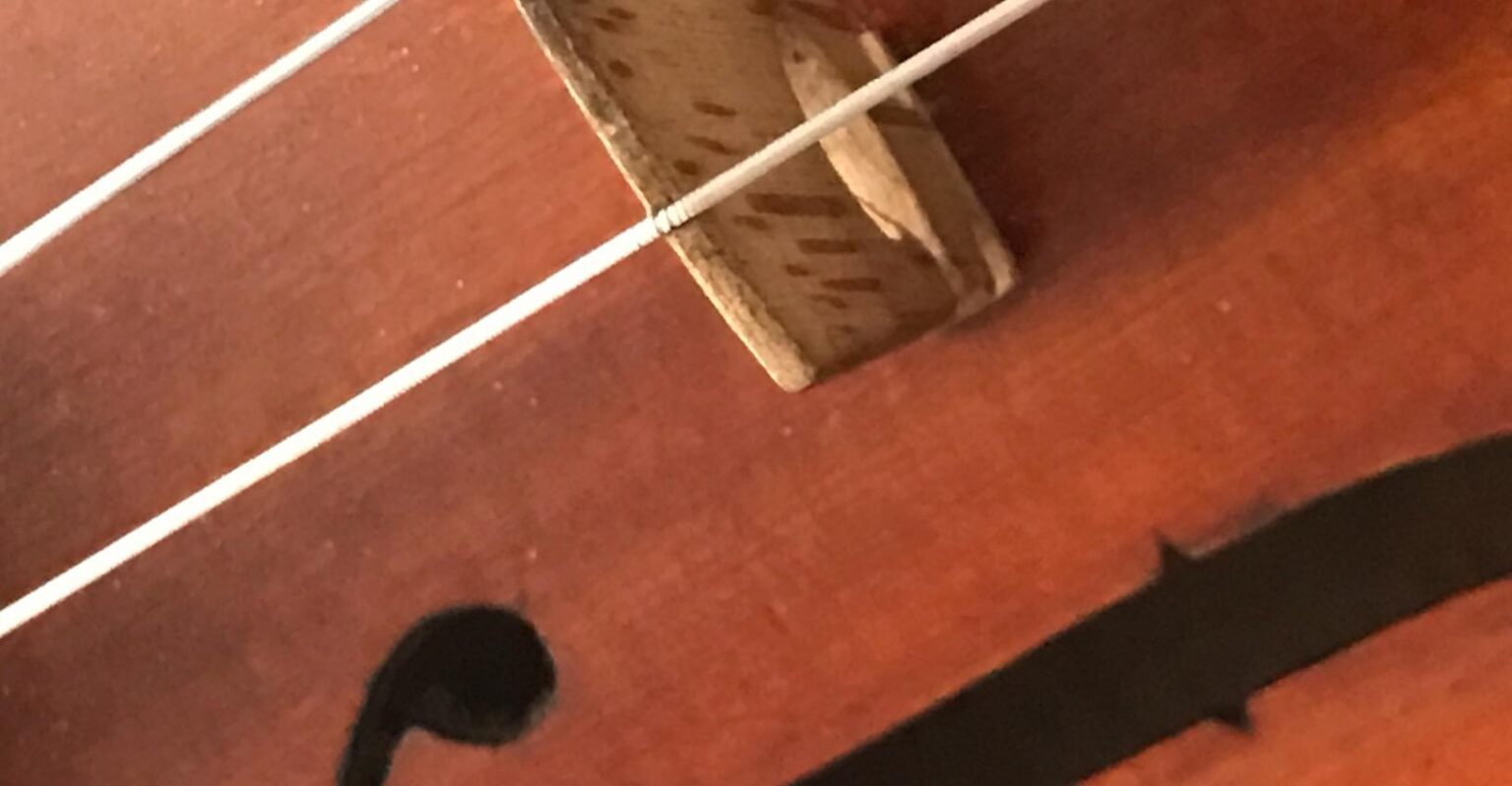 Best Violin Strings (March 2026) Complete Guide for Every Player - VVN News