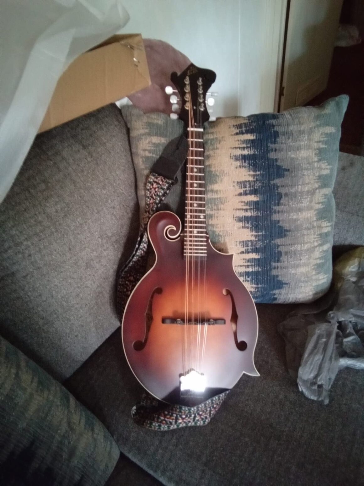 Best Mandolins (May 2026) Complete Guide for Every Player - VVN News