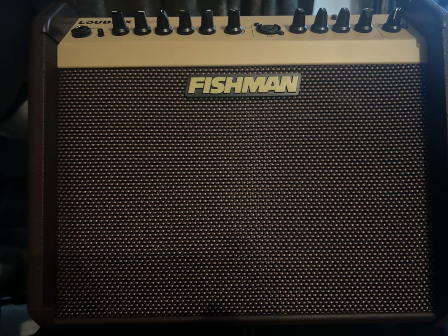 Best Acoustic Guitar Amps 2026: 9 Models Tested & Reviewed