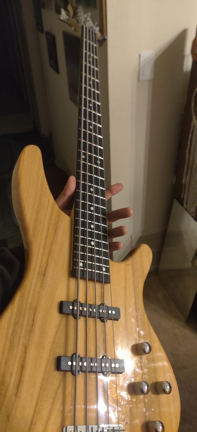 12 Best 5 String Bass Guitars (March 2026) Tested and Reviewed - VVN News