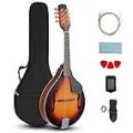 Best Mandolins (March 2026) Complete Guide for Every Player - VVN News