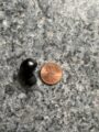 12 Best Invisible Bluetooth Earbuds (March 2026) Tested for True ...