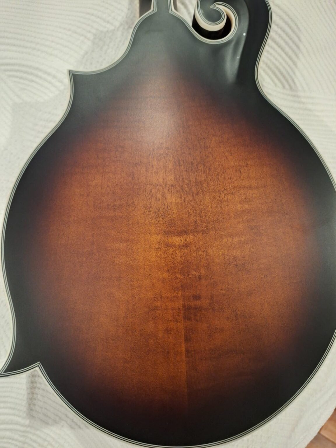 Best Mandolins (May 2026) Complete Guide for Every Player - VVN News