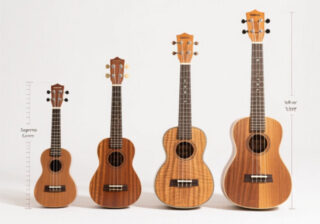 Understanding Ukulele Sizes (May 2026) Complete Guide to Choosing Your ...