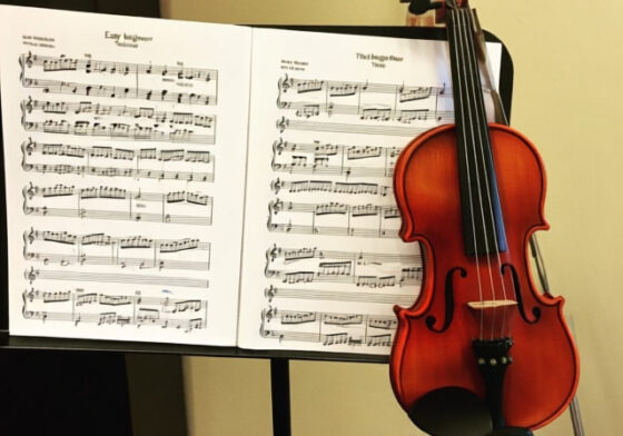 30 Easy Violin Songs (March 2026) Melodies Every Beginner Can Master ...