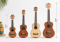 4 Main Ukuleles Types (March 2026) Complete Guide - VVN News