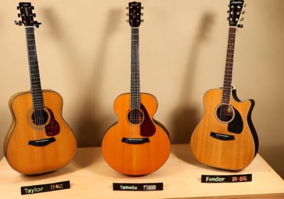 12 Best Fingerstyle Guitars (May 2026) Tested & Reviewed - VVN News