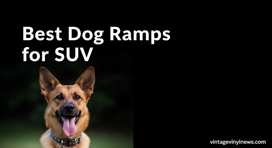 10 Best Dog Ramps for SUV (May 2026) Top Tested - VVN News