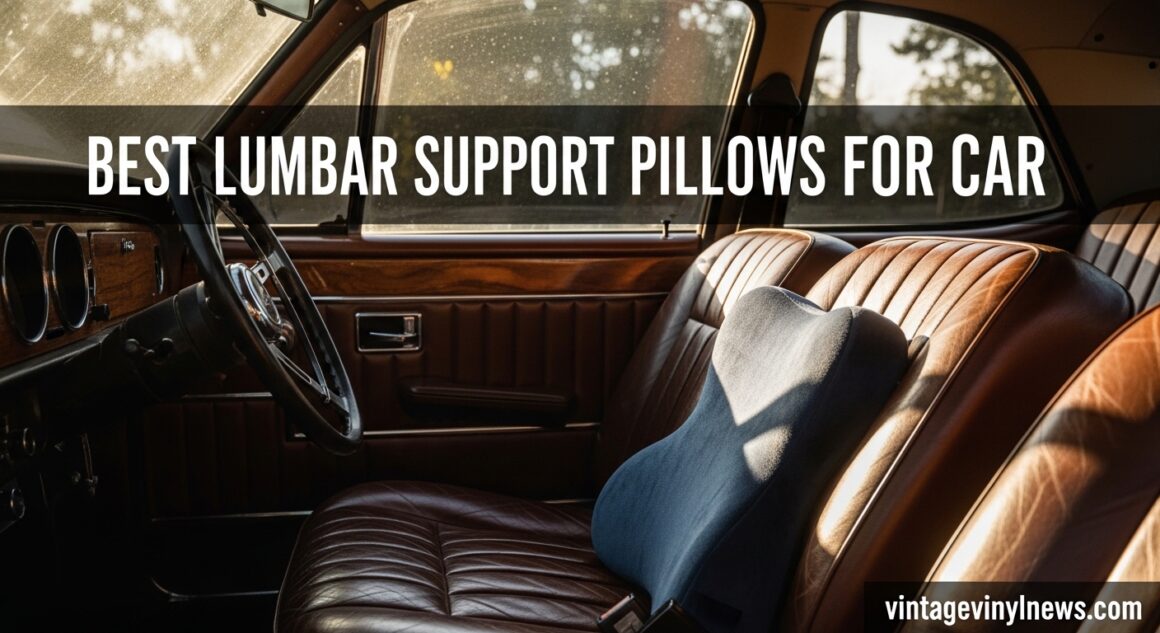 10 Best Lumbar Support Pillows for Car (March 2026) Expert Reviews ...