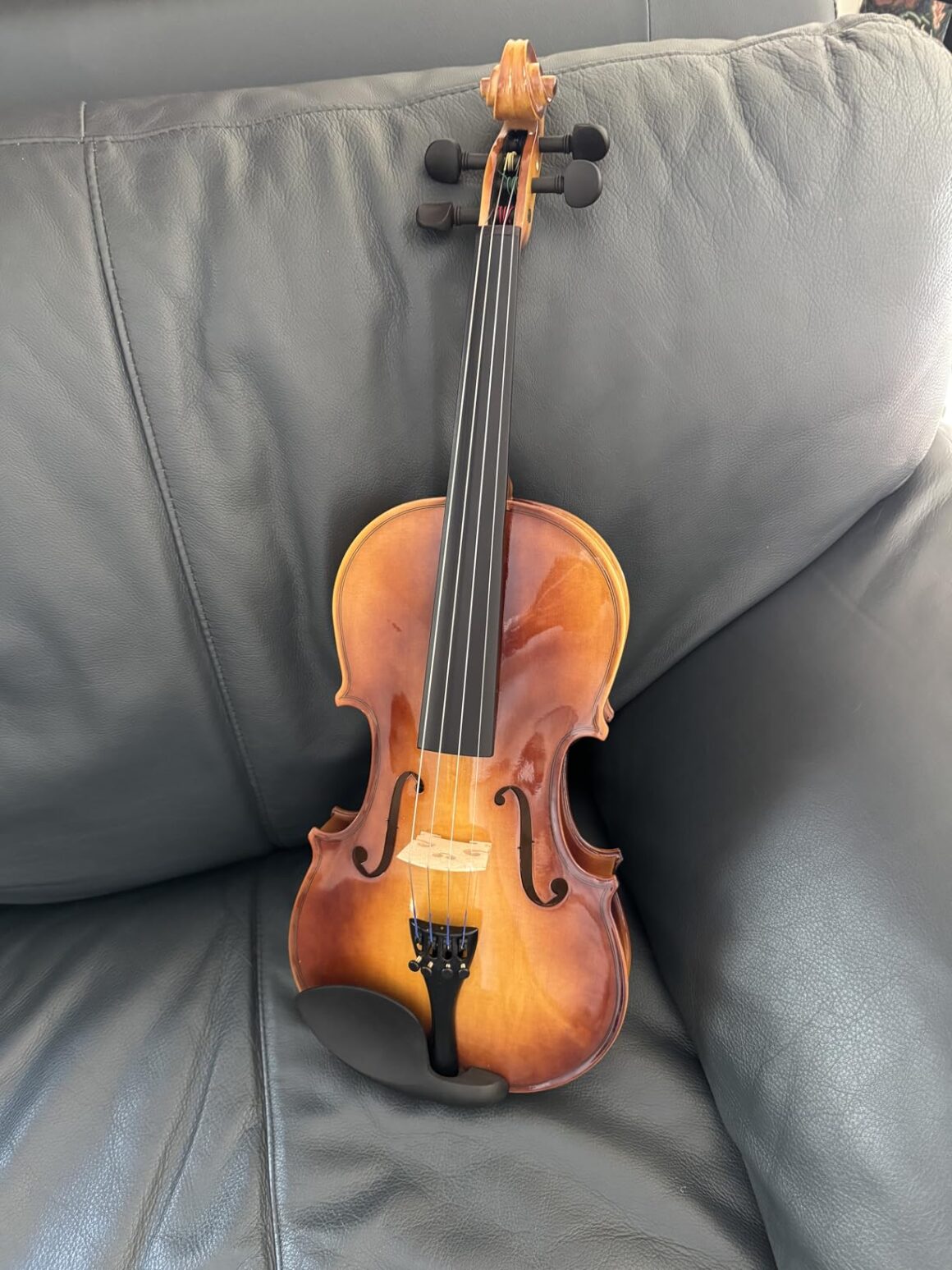 11 Best Violins Under $500 (May 2026) Expert Tested - VVN News
