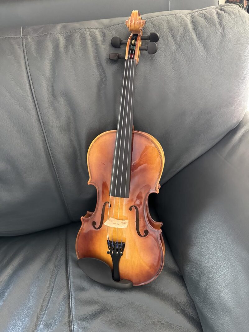 11 Best Violins Under $500 (May 2026) Expert Tested - VVN News